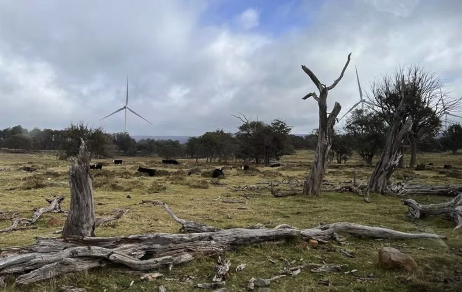 Alternate Path Leads Landowner-Led Clean Energy Portfolio in Landmark ...